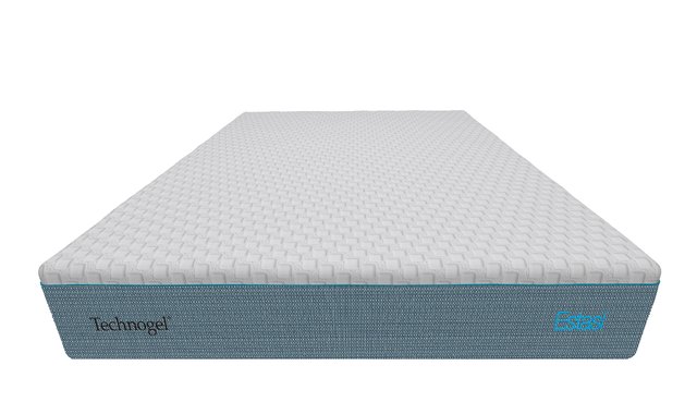 Technogel Estasi plush queen mattress 60 in. | Accent Home Furnishings